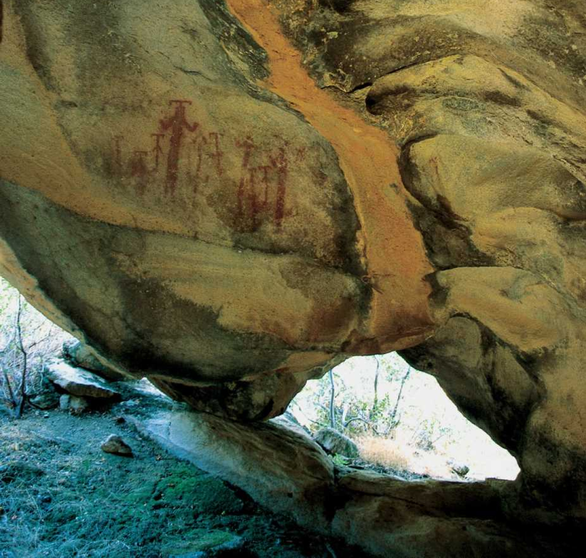 Önemi - Latmos'u Koru